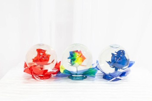 Shop | My's Floral Shop